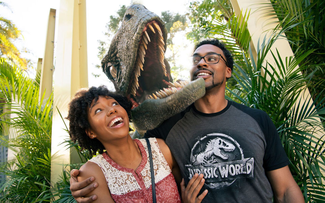 Ultimate Guide to My Universal Photos