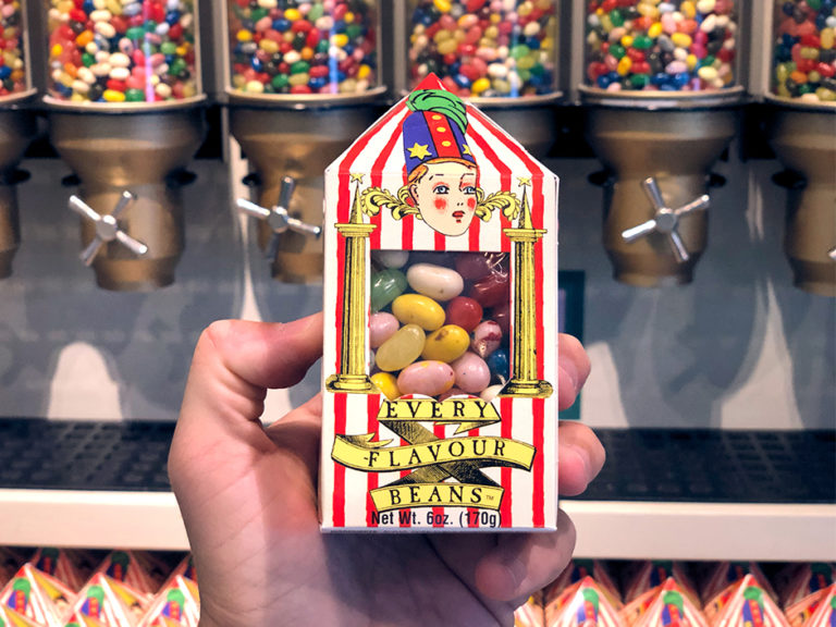 A Gryffindor's Guide to The Wizarding World of Harry Potter