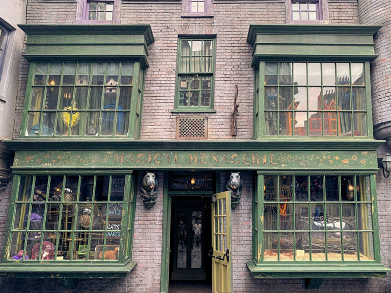 A Hufflepuff’s Guide to The Wizarding World of Harry Potter