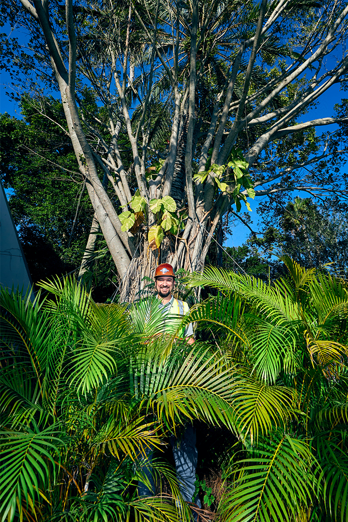 Behind-the-Hunt | Plant Life in Jurassic Park - Discover Universal