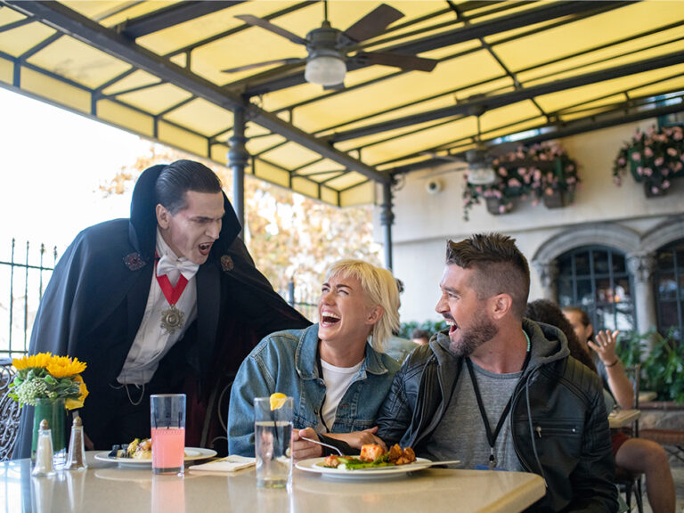 Guide to the VIP Experience at Universal Studios Hollywood