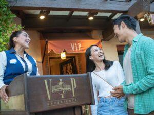 Guide to the VIP Experience at Universal Studios Hollywood