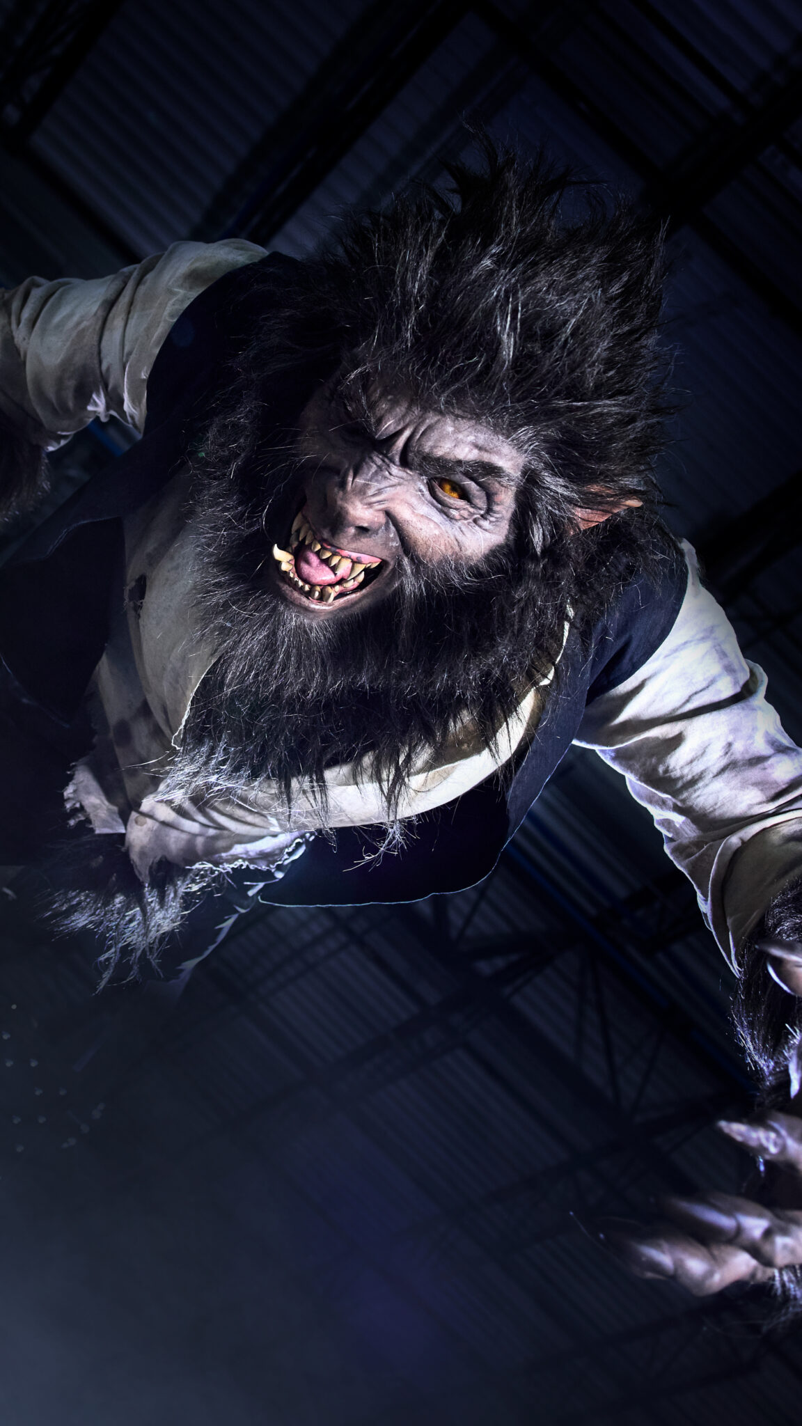 Cosas que los fanáticos pueden esperar en Dark Universe en Universal ...