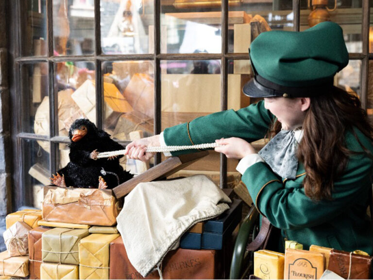 Magical Creatures in The Wizarding World of Harry Potter for Universal ...