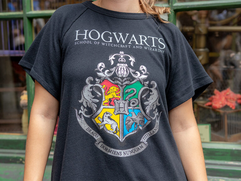 Go Back to Hogwarts in Style with Exclusive The Wizarding World of ...